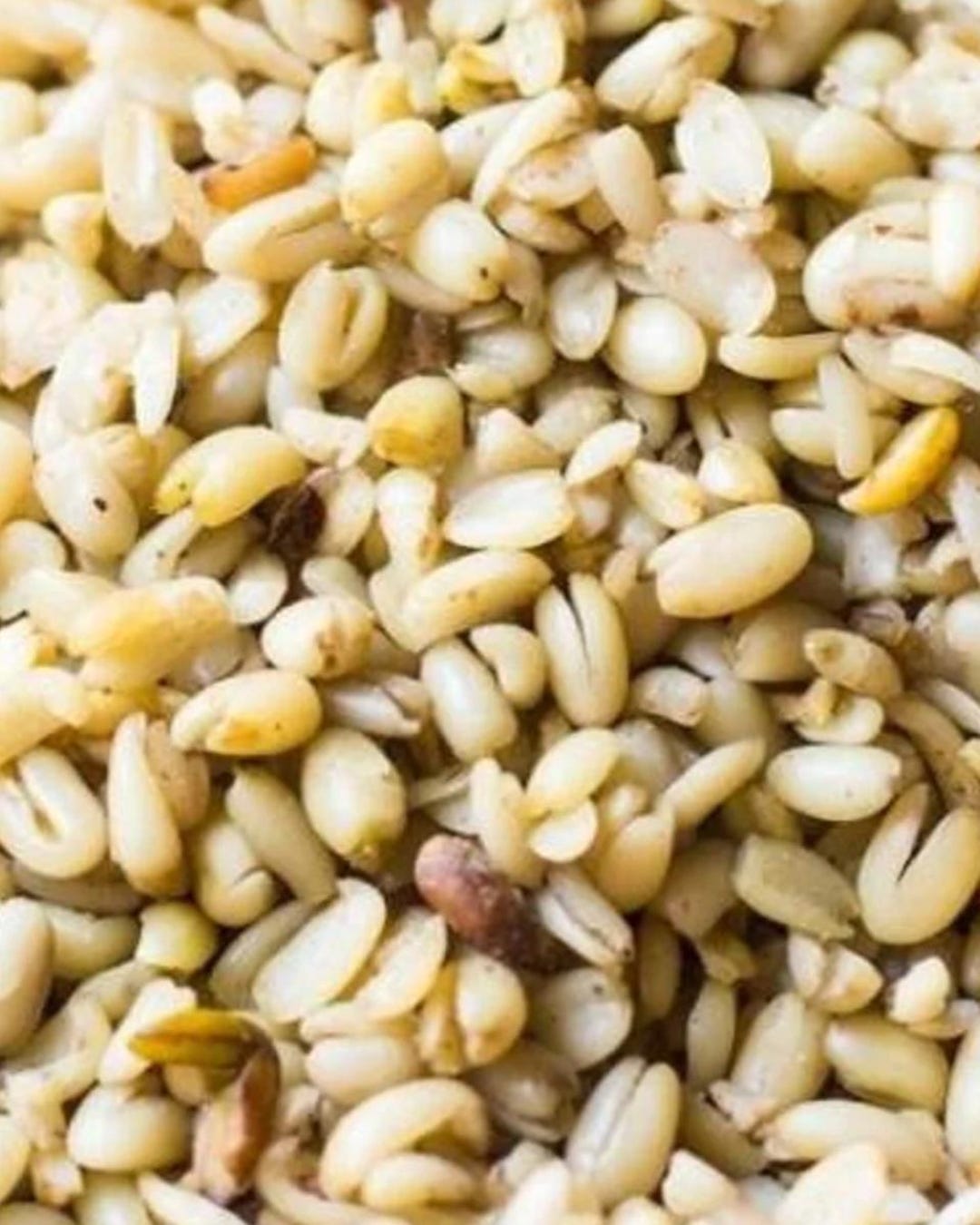 Ukwa/ African Breadfruit 12oz - Etsy