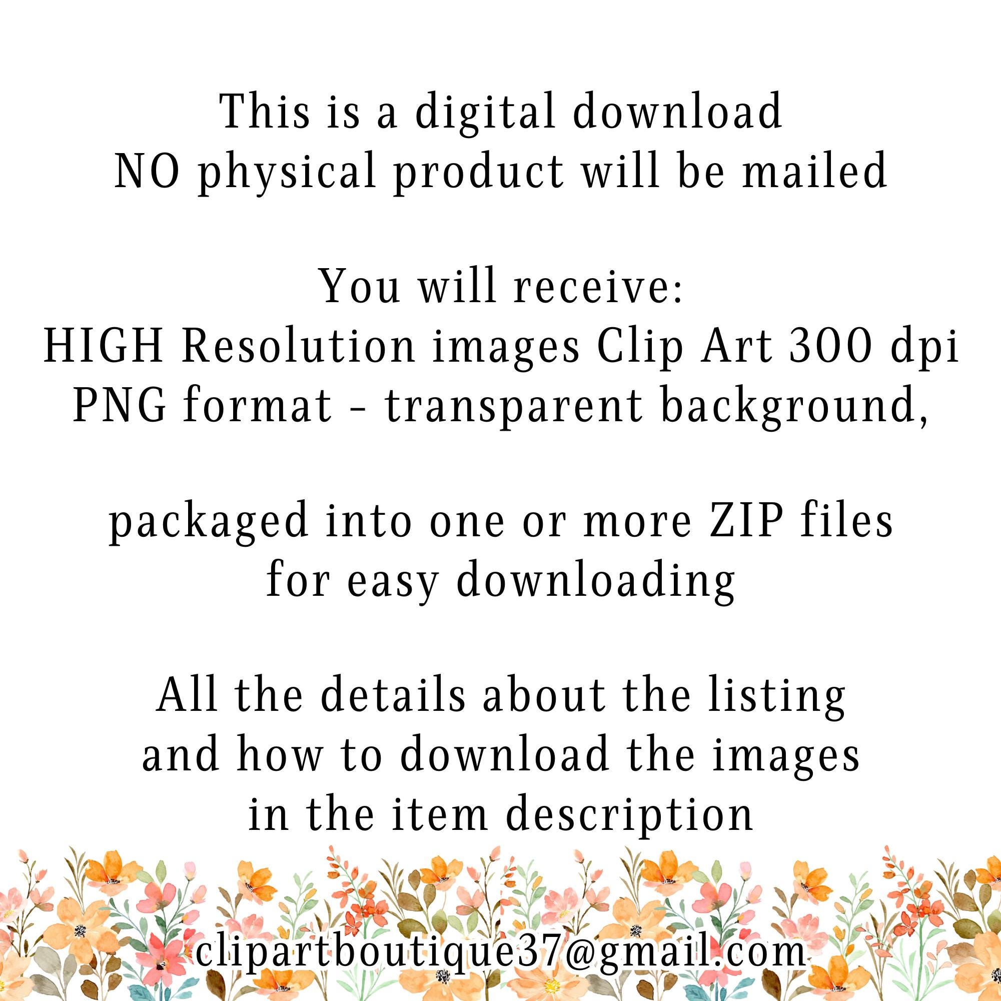 12 Windows and Doors Clipart, Floral Doors and Windows Clip Art ...