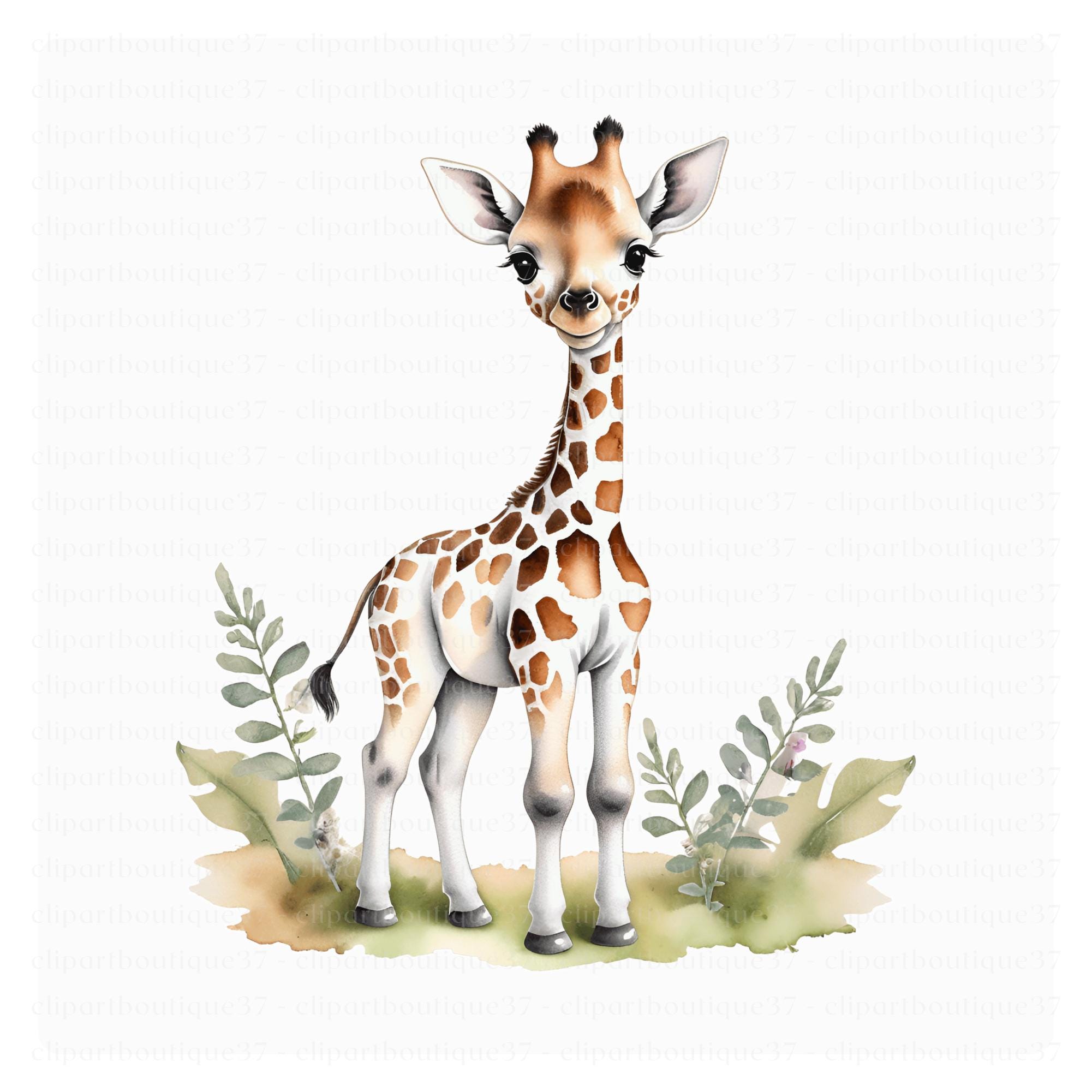 12 Cute Giraffe and Leaves Clipart, Baby Giraffe Illustrations, Digital ...