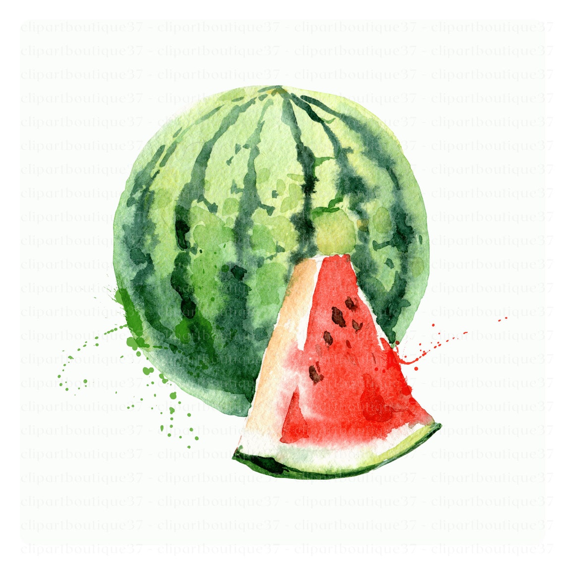 14 Tropical Fruit Clipart, Watercolor Fruit Clipart, Exotic Fruit ...