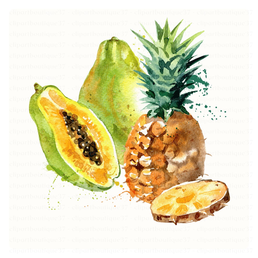 14 Tropical Fruit Clipart, Watercolor Fruit Clipart, Exotic Fruit ...
