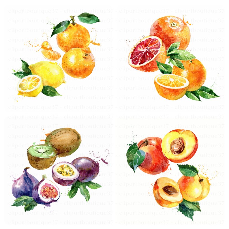 14 Tropical Fruit Clipart, Watercolor Fruit Clipart, Exotic Fruit ...