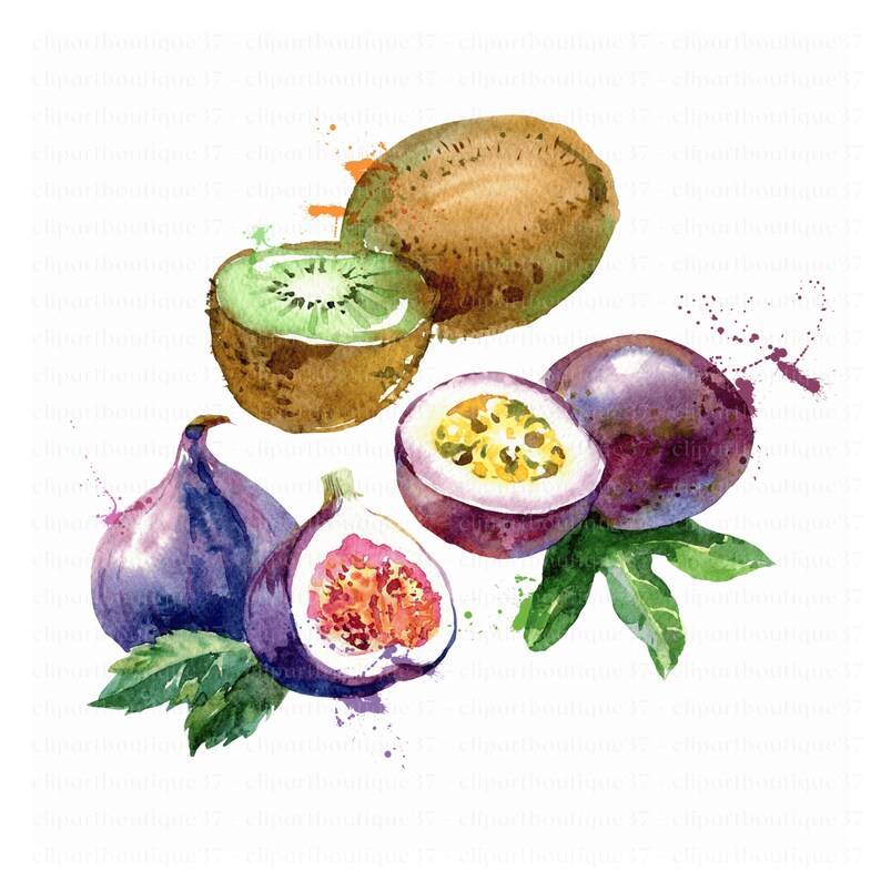 14 Tropical Fruit Clipart, Watercolor Fruit Clipart, Exotic Fruit ...