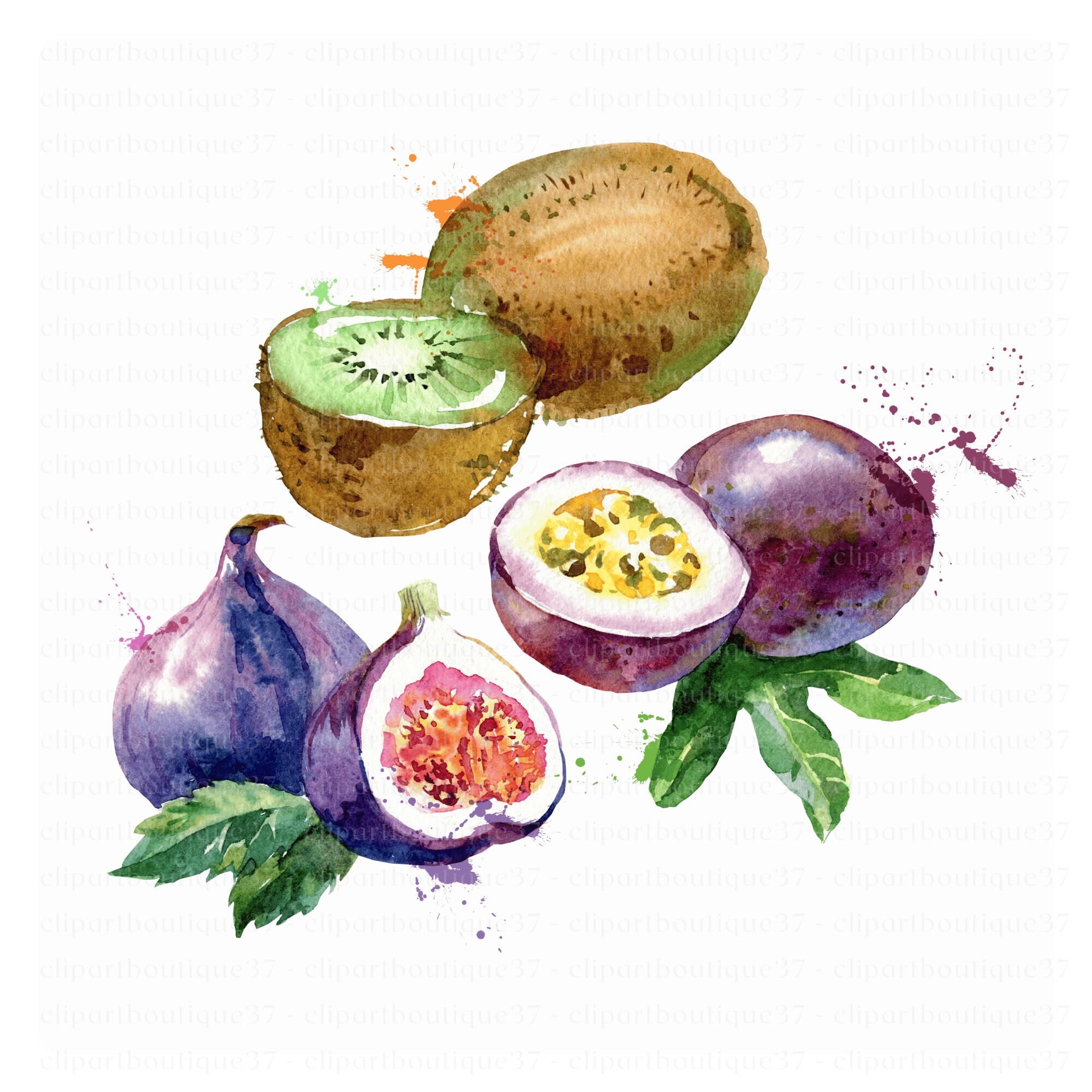 14 Tropical Fruit Clipart, Watercolor Fruit Clipart, Exotic Fruit ...