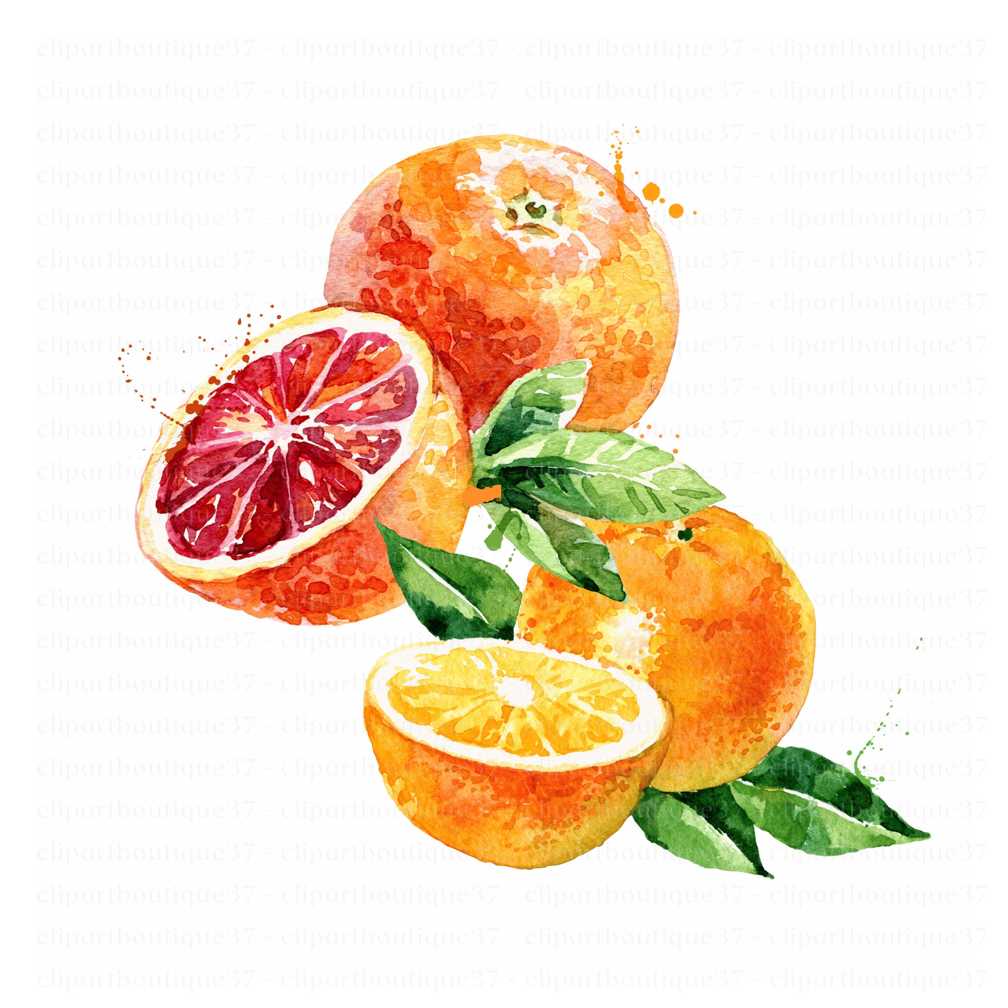 14 Tropical Fruit Clipart, Watercolor Fruit Clipart, Exotic Fruit ...