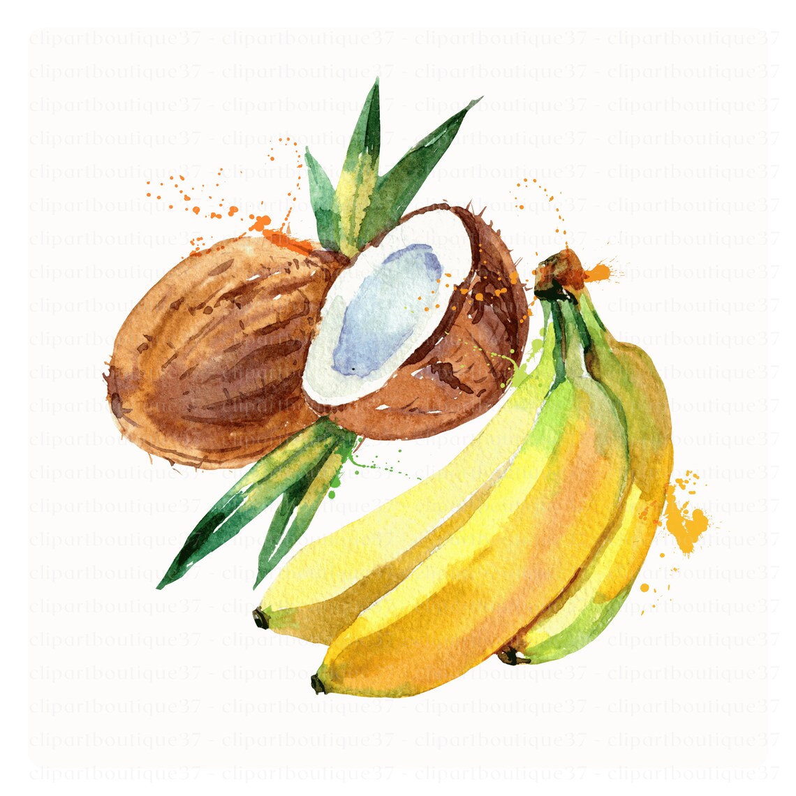 14 Tropical Fruit Clipart, Watercolor Fruit Clipart, Exotic Fruit ...