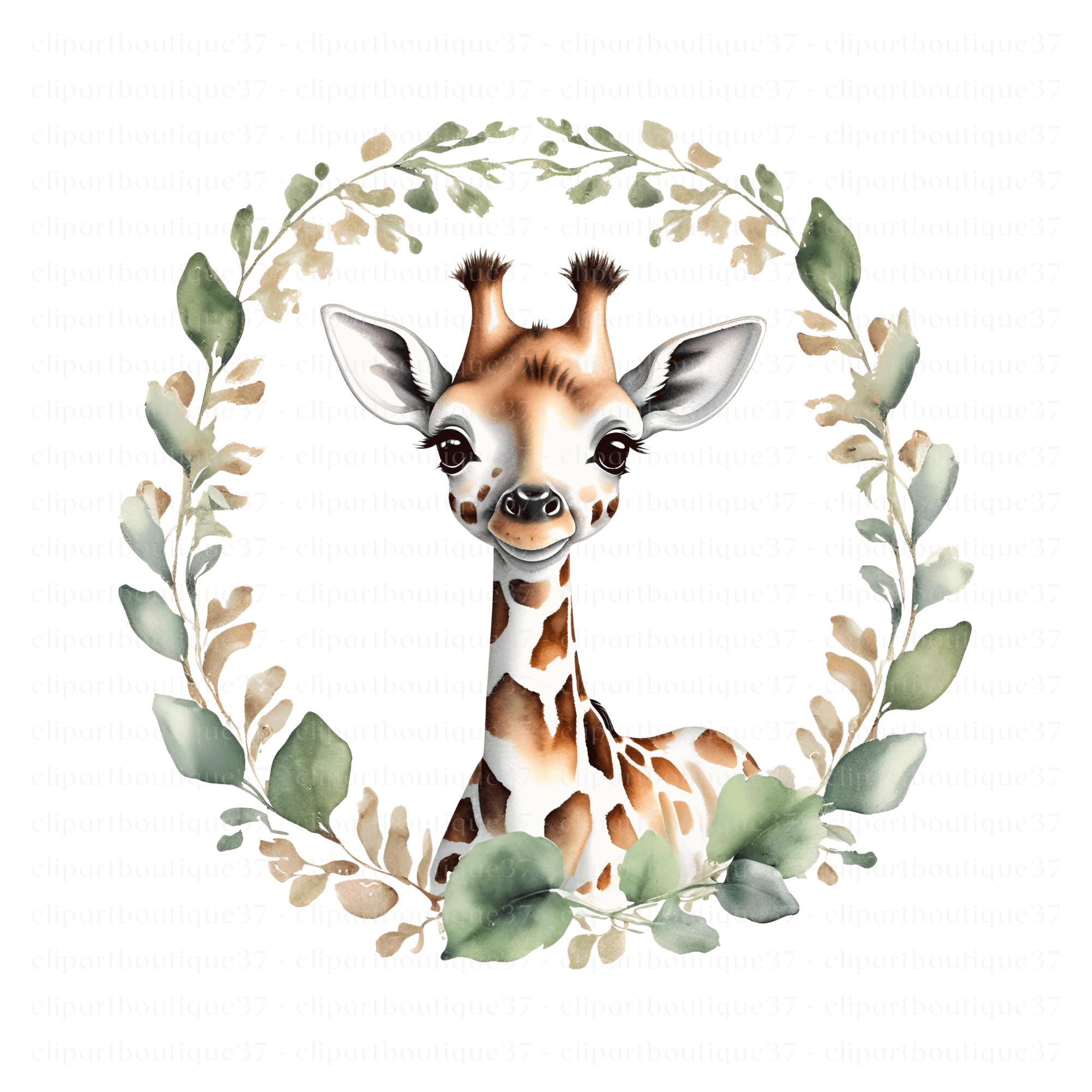 12 Cute Giraffe and Leaves Clipart, Baby Giraffe Illustrations, Digital ...