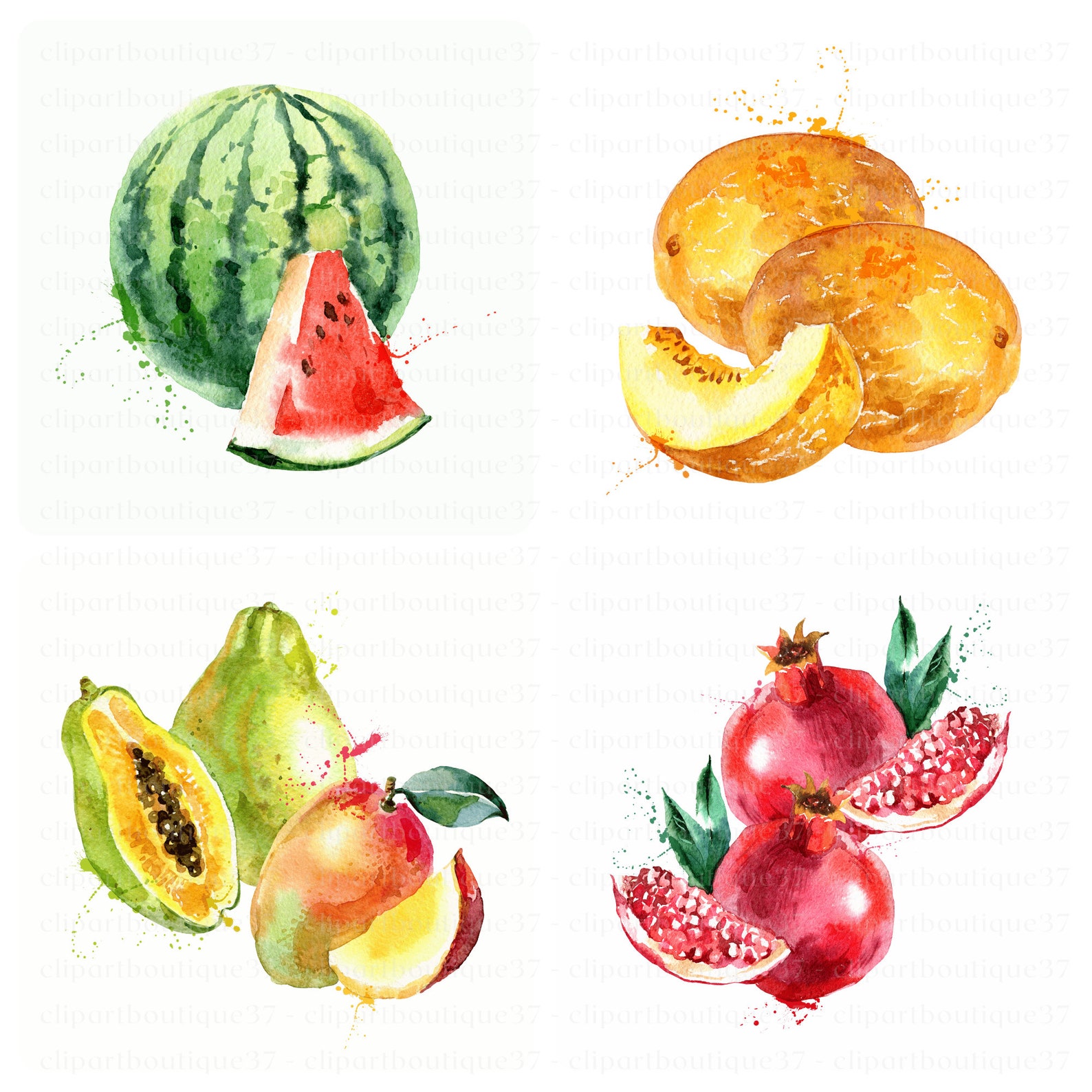 14 Tropical Fruit Clipart, Watercolor Fruit Clipart, Exotic Fruit ...