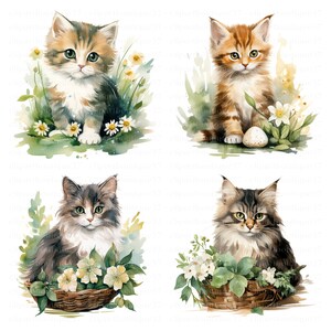 12 Cats With Flowers Clipart, Cat Painting Clipart, Cat Images, Kitten ...