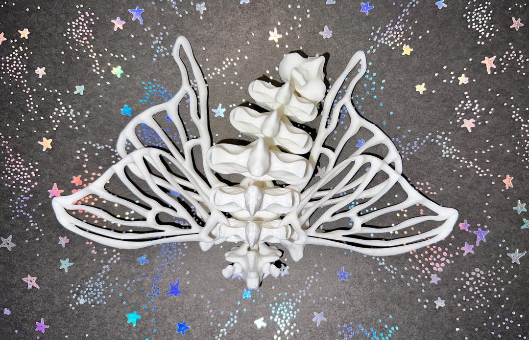 Bone Moth Articulated Animal 3D Printed, Flexible Fidget, Chose Your ...