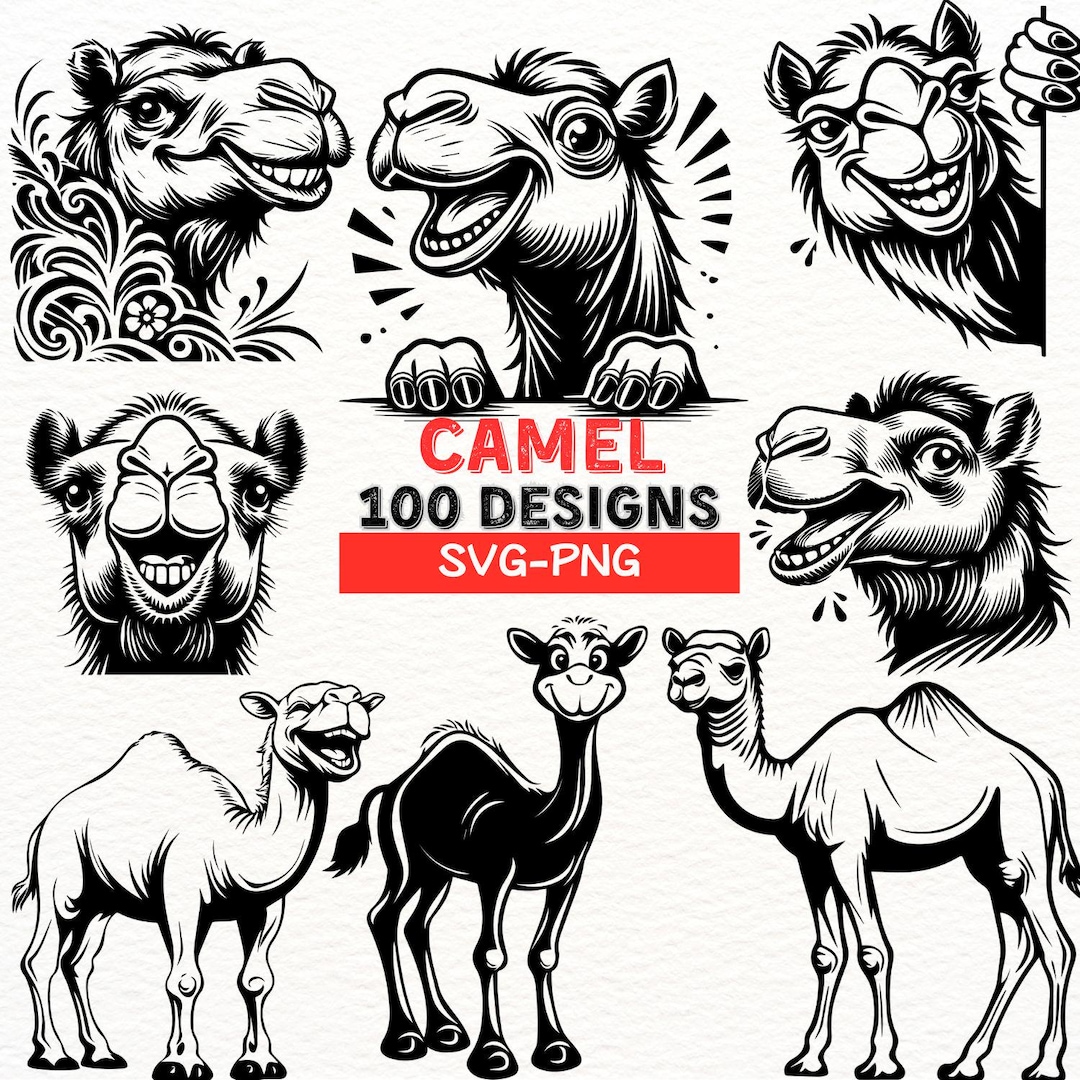 Camel SVG PNG Designs for Cricut and Sublimation | High-quality Cartoon ...