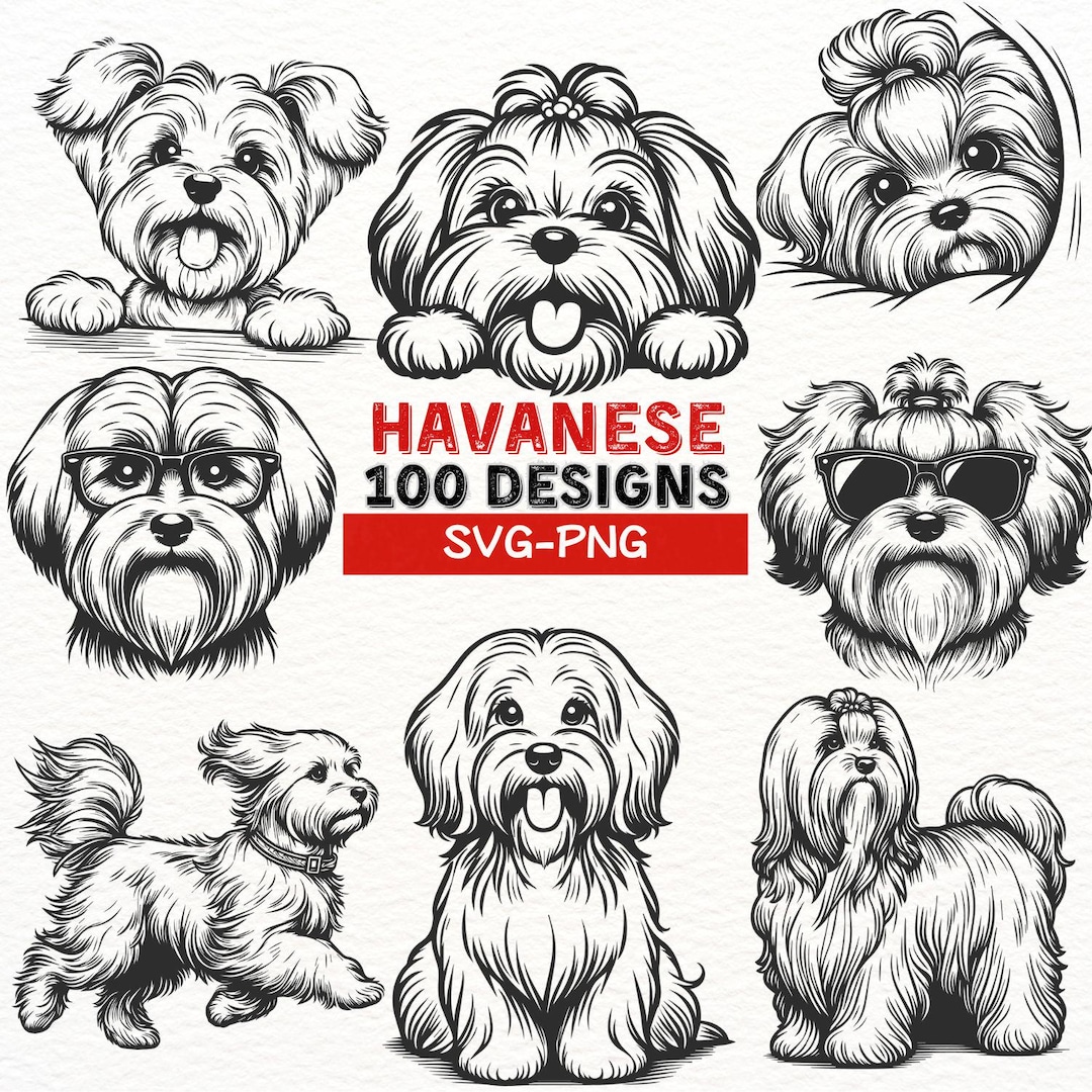 Havanese Dog SVG Bundle, 100 Unique Havanese Designs, PNG Cut Files for ...