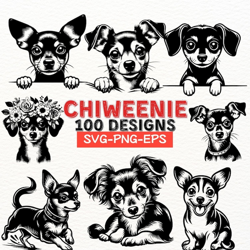 Chiweenie Decal - Etsy