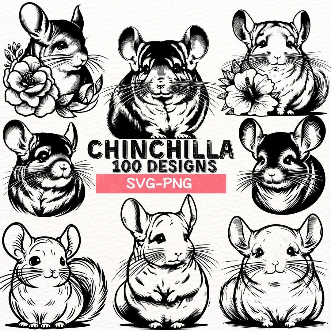 Chinchilla SVG PNG Bundle, Cute Chinchilla Clipart, Animal Silhouette ...