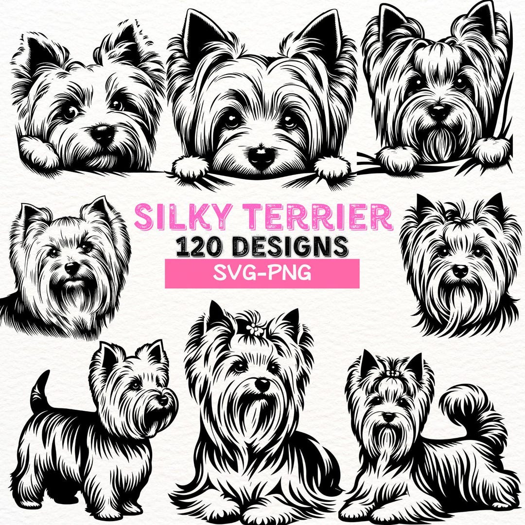 Silky Terrier SVG Bundle, 120 Dog Clipart Designs, Cute Silky Terrier ...