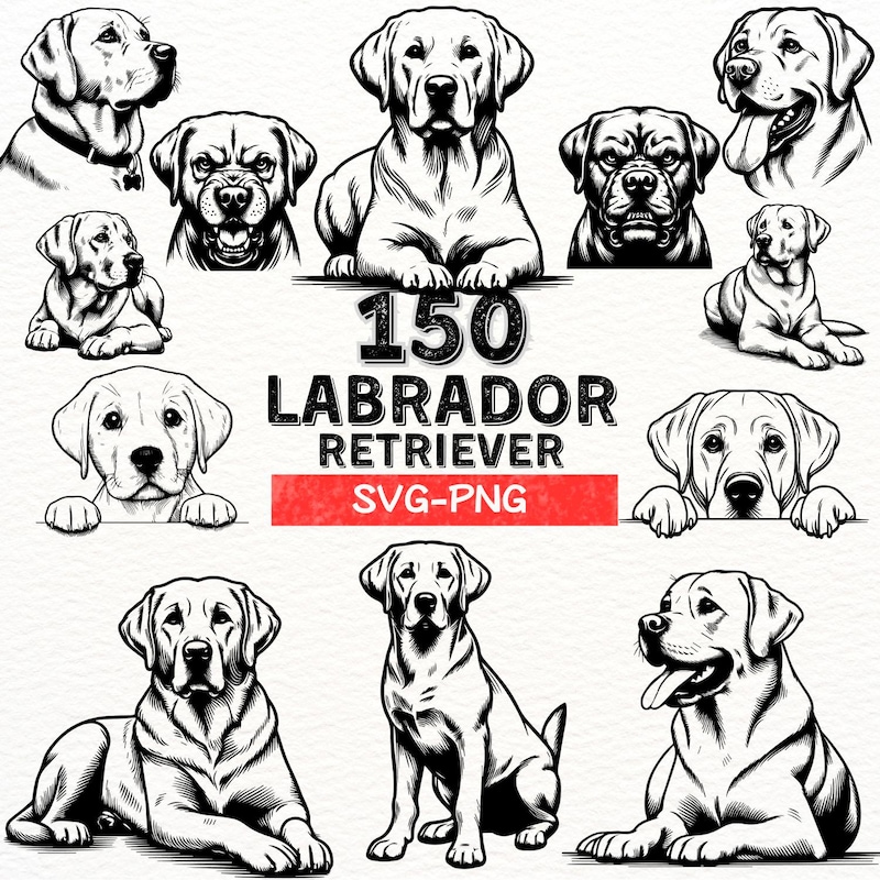 Peeking Lab Svg - Etsy