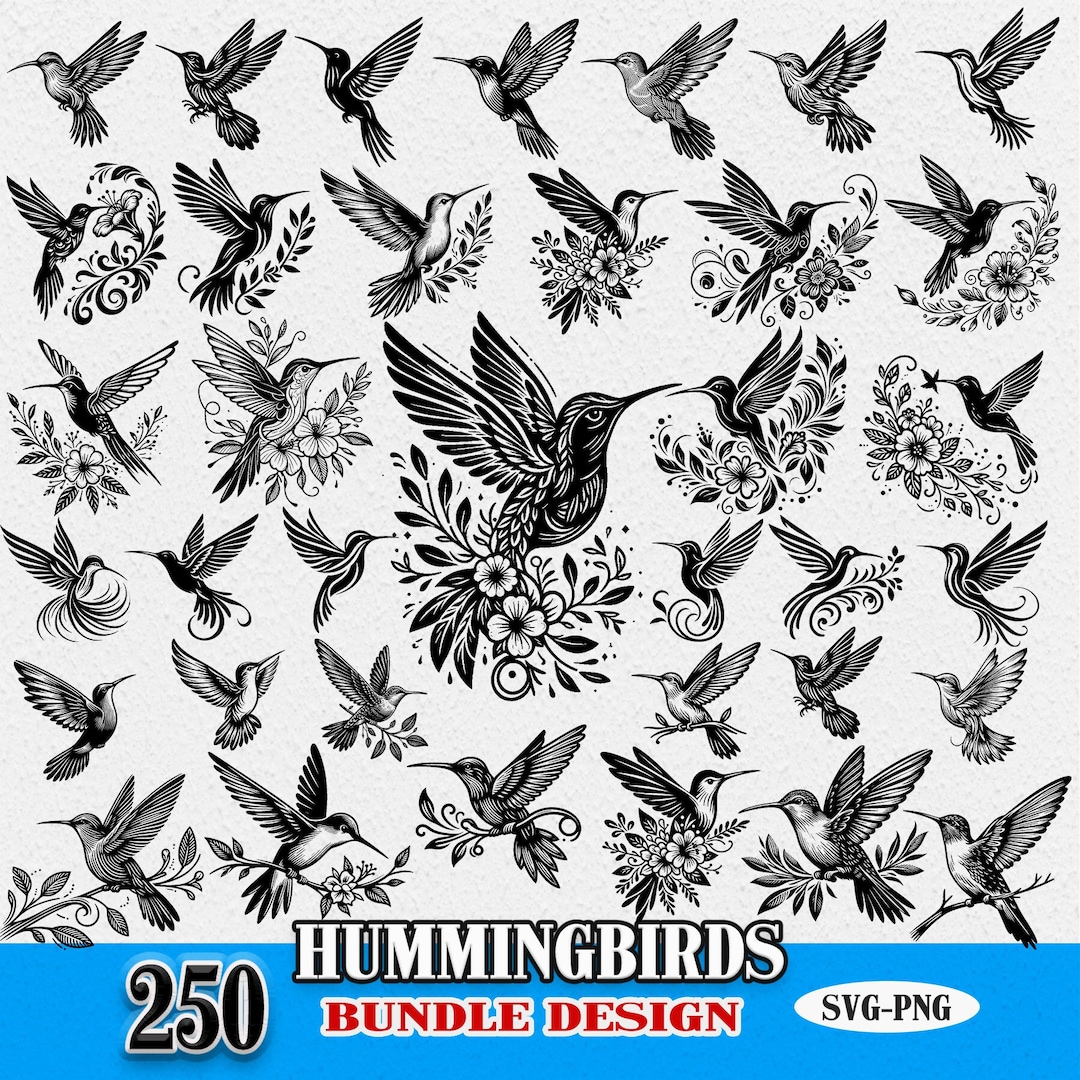 Hummingbird SVG PNG Bundle | Intricate Floral Hummingbird Clipart ...