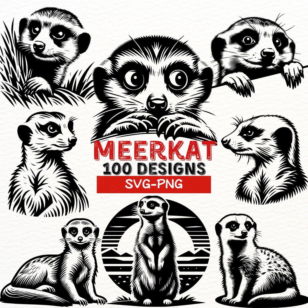 Meerkat SVG Designs | Cute Meerkat Clipart for Sublimation | Meerkat ...