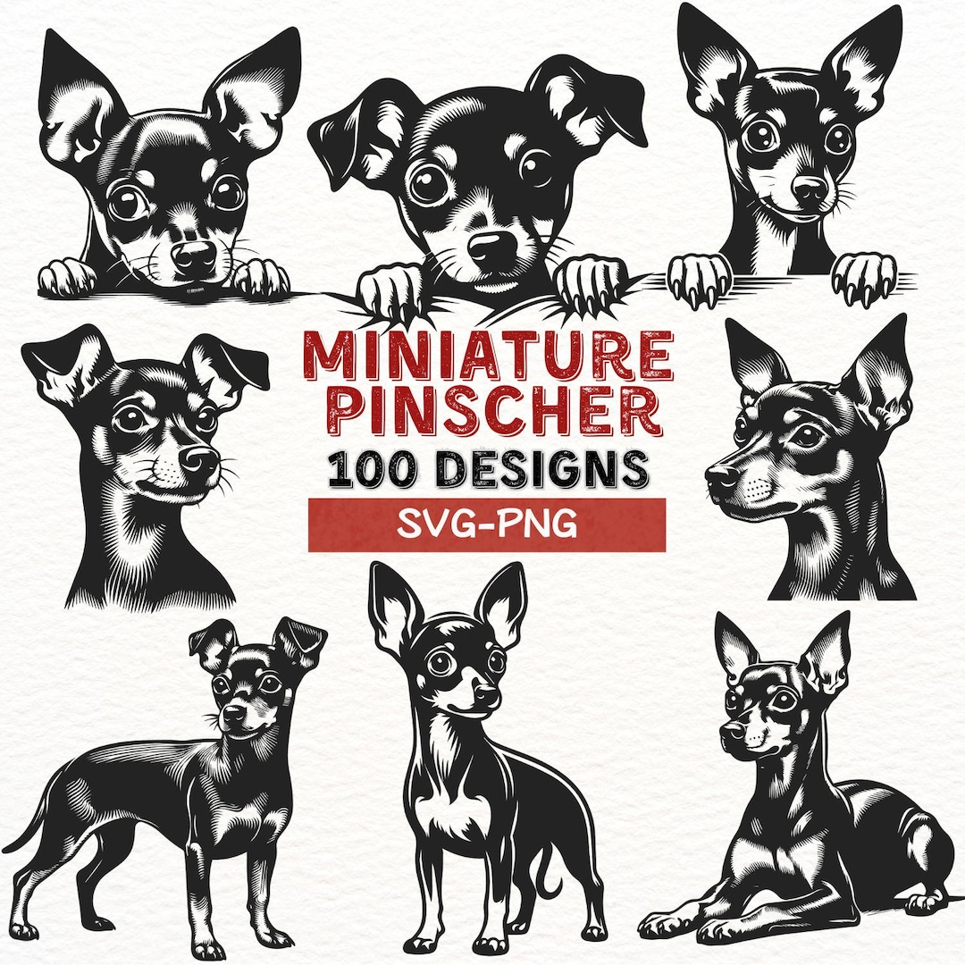 Miniature Pinscher SVG Bundle, 100 Miniature Pinscher PNG Designs, Dog ...