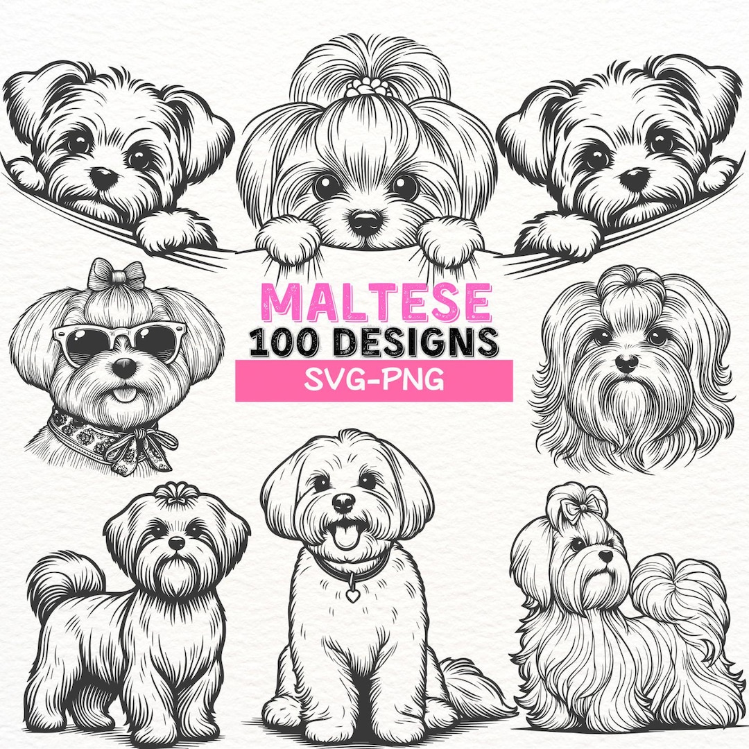 Maltese Dog SVG Bundle 100 Designs | Cute Maltese Clipart PNG | Dog ...