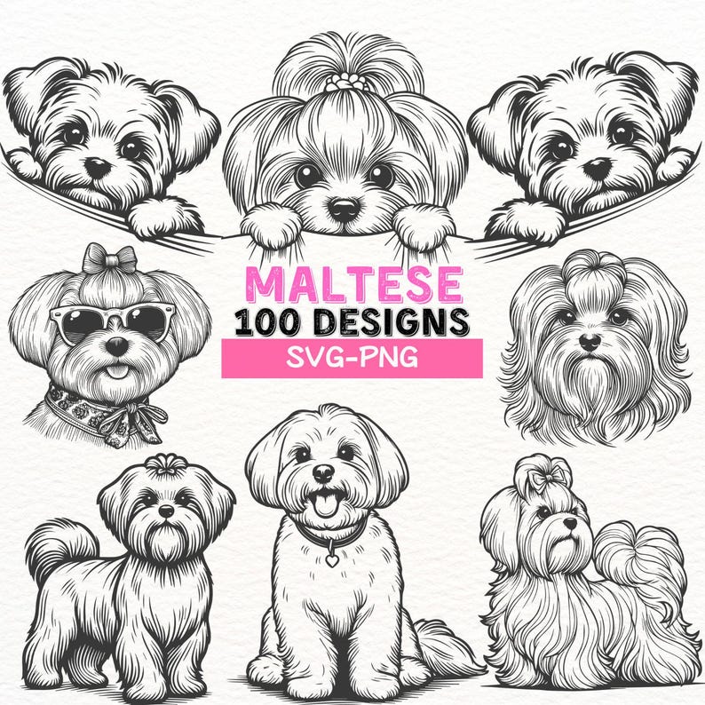 Maltese Dog SVG Bundle 100 Designs Cute Maltese Clipart PNG Dog Lover ...