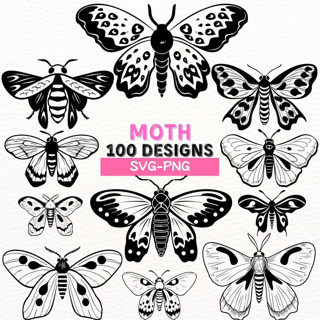 Moth SVG Bundle, Insect Clipart, Moth PNG Files for Cricut, Digital Cut ...