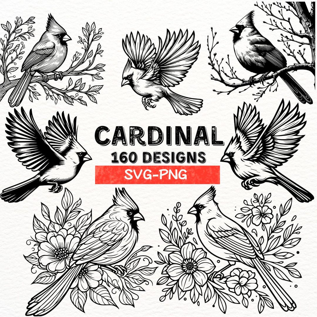 Cardinal Bird SVG Bundle | 160 Cardinal Designs | PNG Files for Cricut ...
