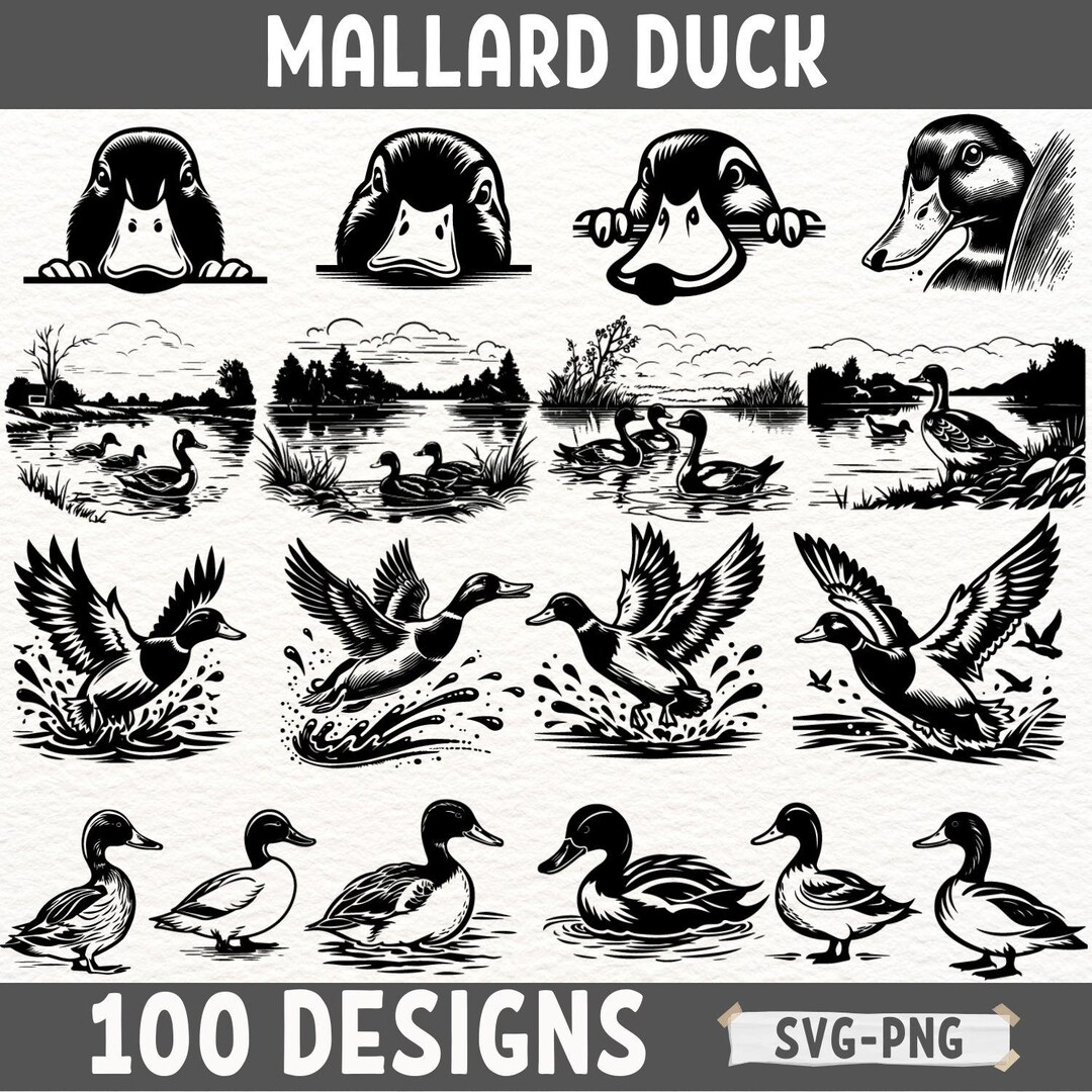 Mallard Duck SVG PNG Designs – Wildlife Clipart for Crafting, Laser ...