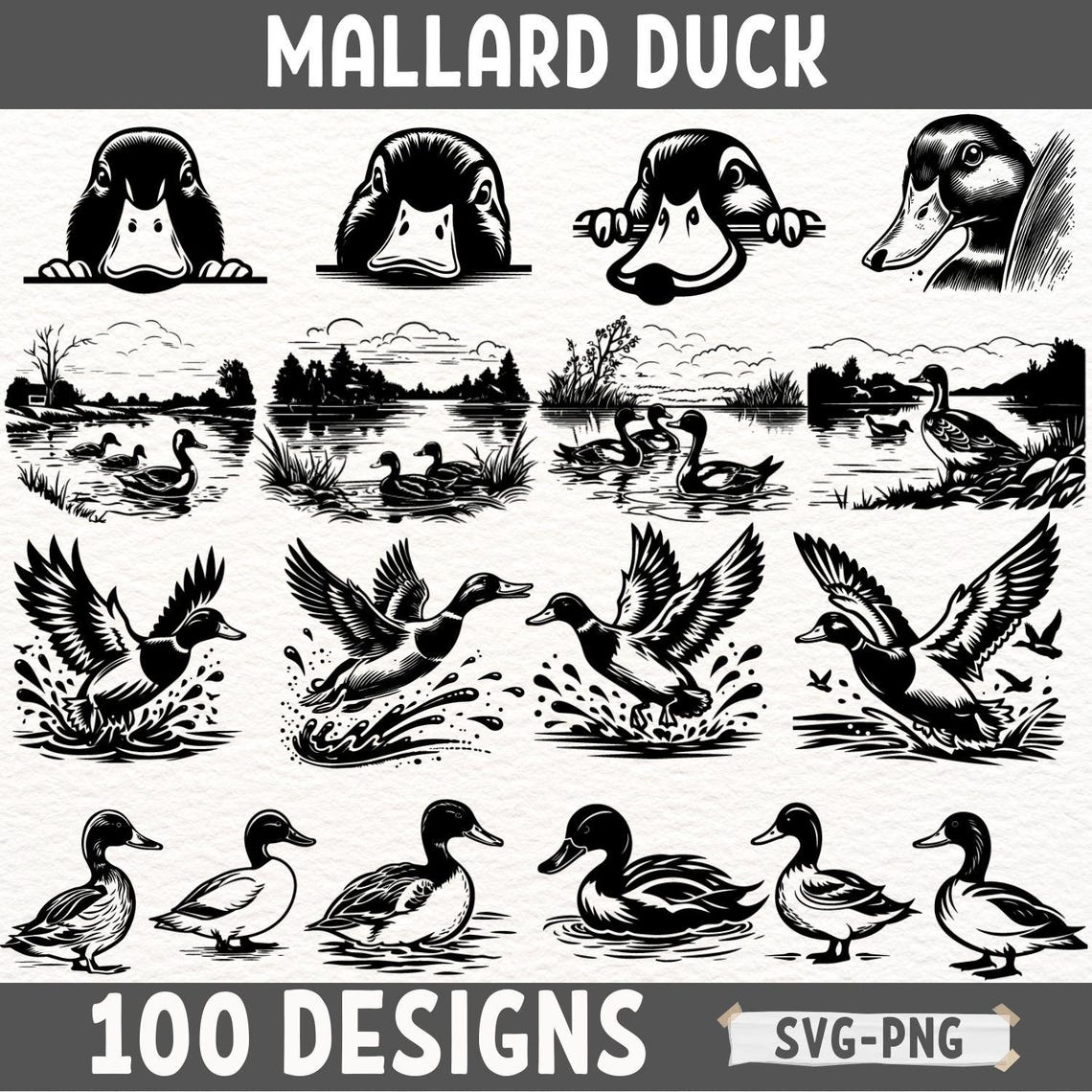 Mallard Duck SVG PNG Designs – Wildlife Clipart for Crafting, Laser ...