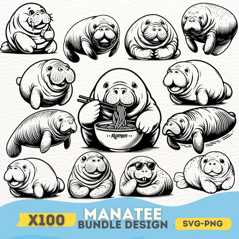 Manatee Svg - Etsy