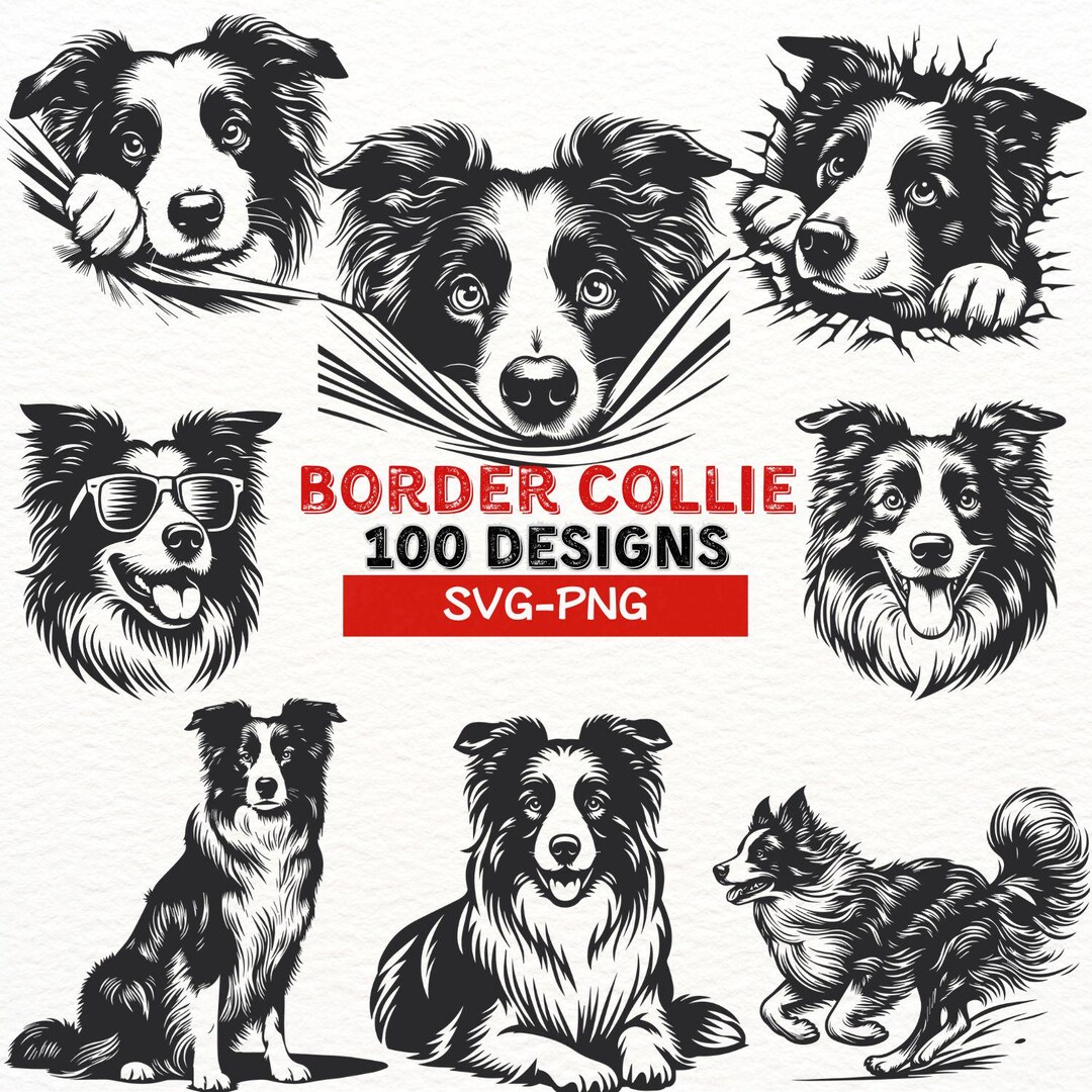 Border Collie SVG Bundle | 100 Border Collie Dog Designs | Border ...