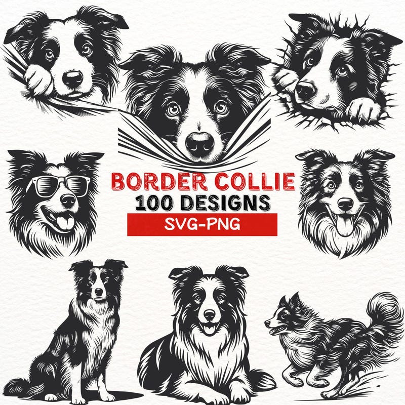 Border Collie Svg - Etsy