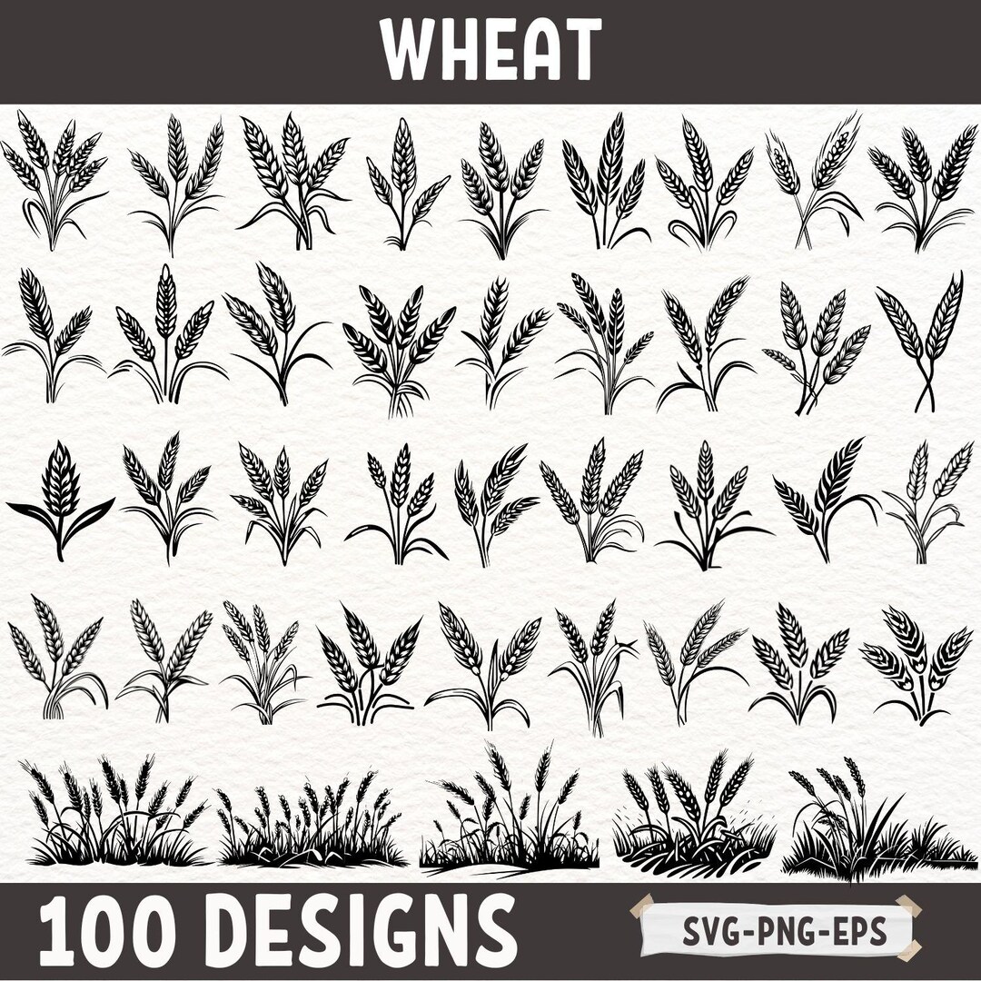 Wheat SVG Bundle, Farm Wheat Clipart, Wheat Silhouette PNG, Harvest ...