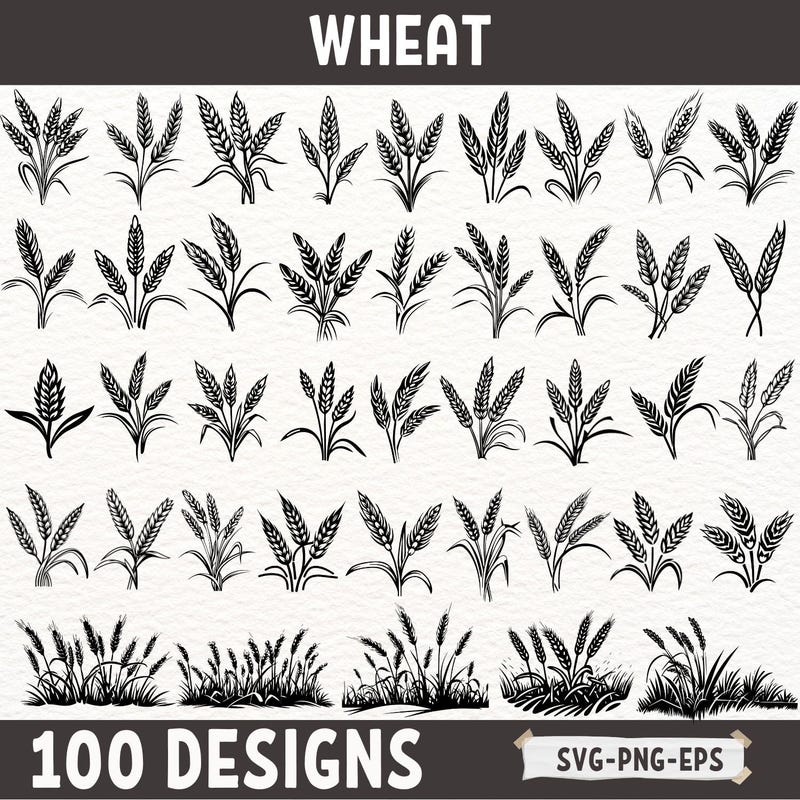 Wheat Svg - Etsy