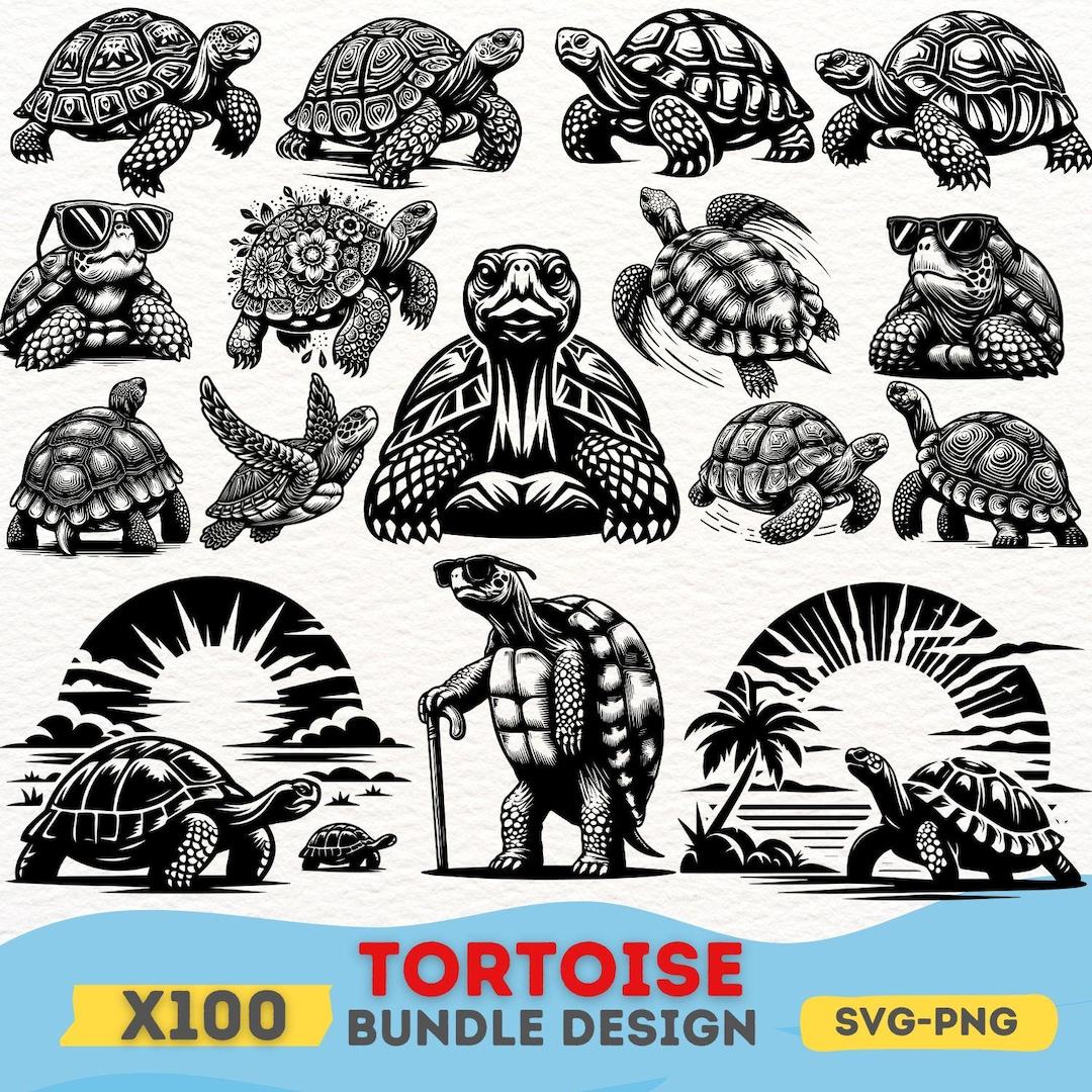 Tortoise SVG Bundle, 100 Unique Tortoise Designs, PNG and SVG for ...
