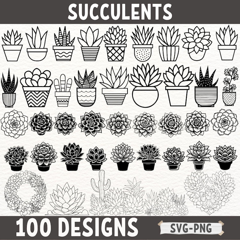 Succulent Svg - Etsy