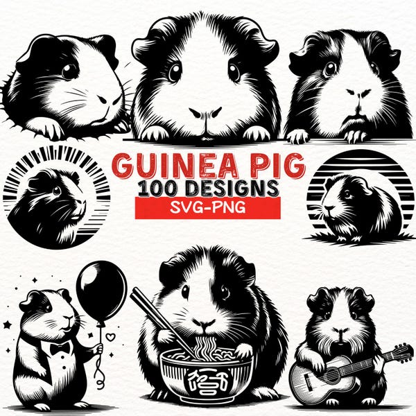 Guinea pig life spank español - Etsy Canada