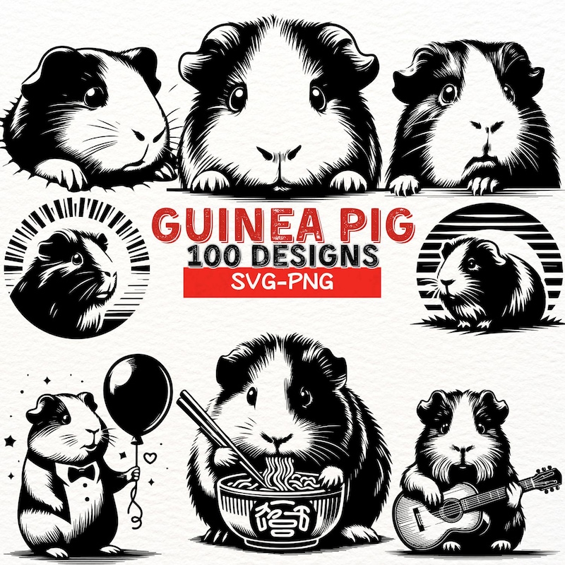 Guinea Pig Face - Etsy UK