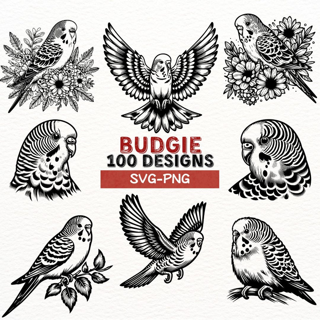 Budgie SVG PNG Designs, Parakeet Digital Clipart, Budgerigar Silhouette ...