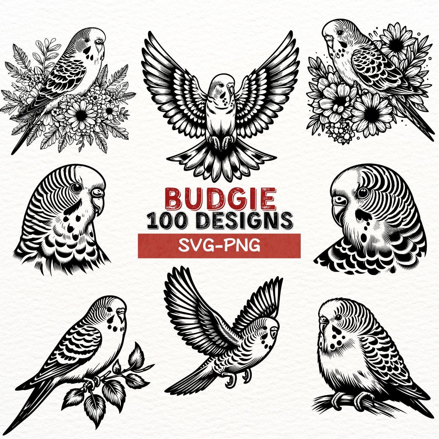 Budgie SVG PNG Designs, Parakeet Digital Clipart, Budgerigar Silhouette ...