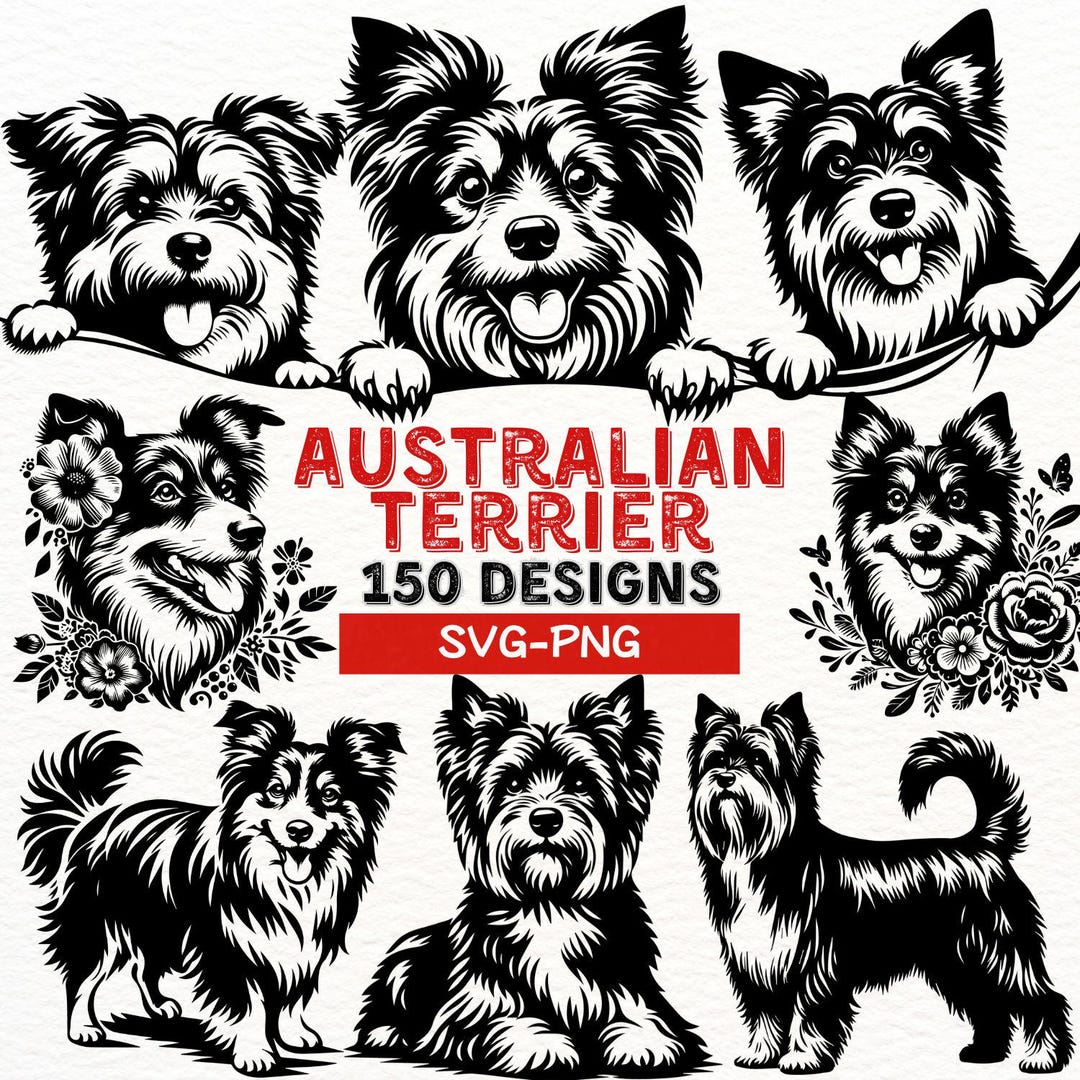 Australian Terrier Dog SVG Bundle, Cute Terrier Clipart, PNG Digital ...