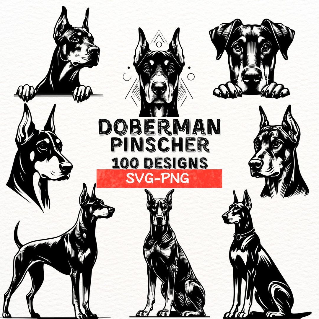 Doberman Pinscher SVG Bundle, Dog Clipart, Doberman PNG Files, Doberman ...