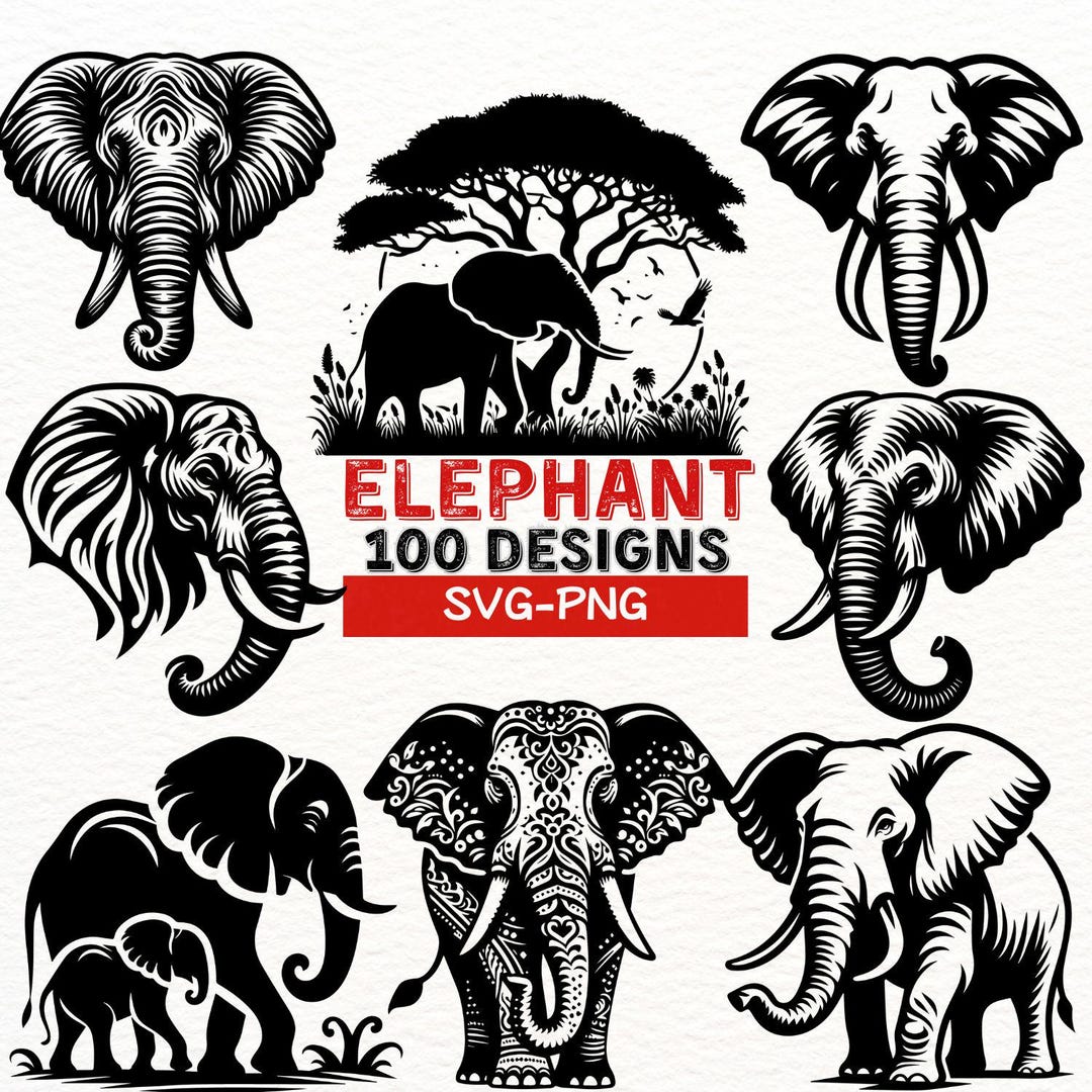 Elephant SVG Bundle, 100 Elephant PNG Designs, Elephant Clipart for ...