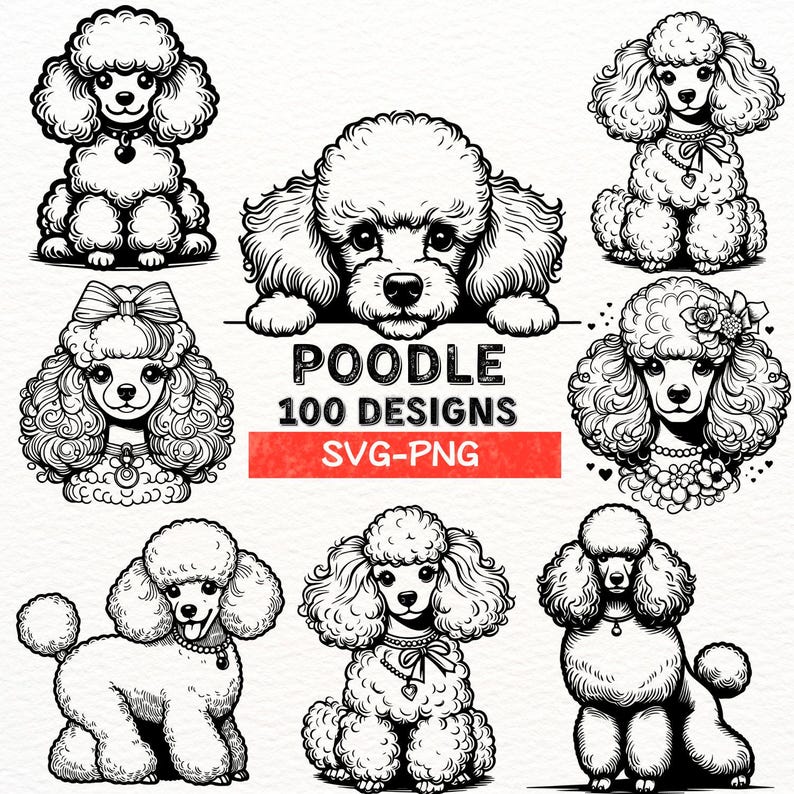 Poodle SVG Designs Bundle | Elegant Poodle Clipart | Dog Lover Digital ...