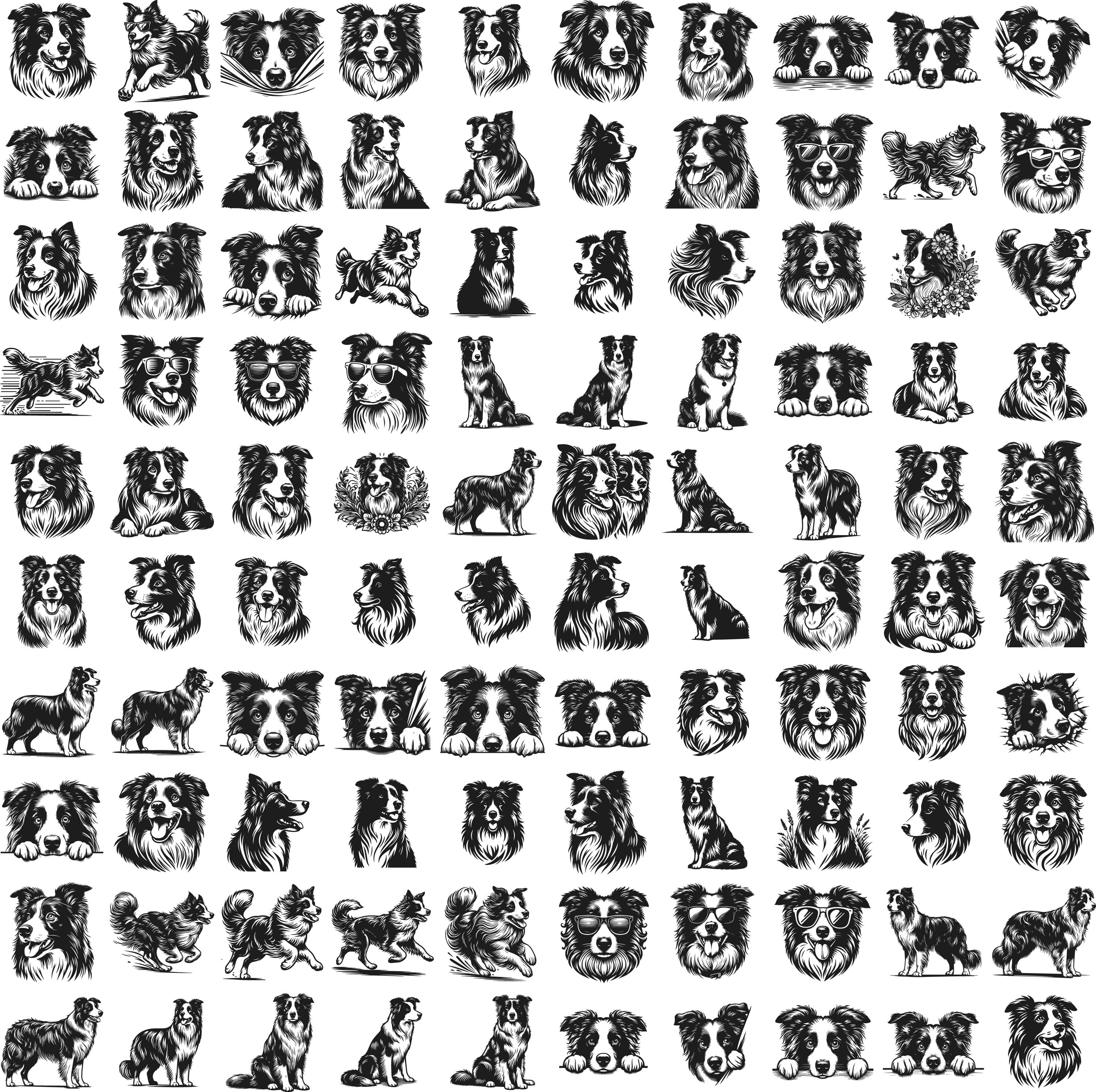 Border Collie SVG Bundle | 100 Border Collie Dog Designs | Border ...