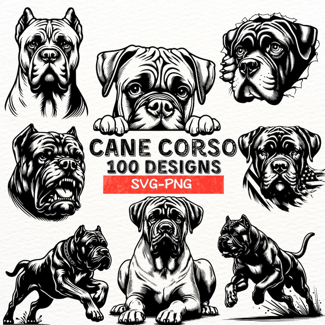 Cane Corso SVG PNG Bundle, 100 Digital Dog Designs, Cane Corso Dog ...