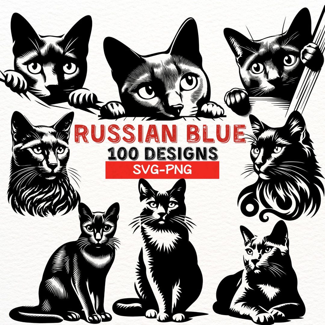 Russian Blue Cat SVG Bundle, 100 Cat Silhouette Designs, Pet Lover ...