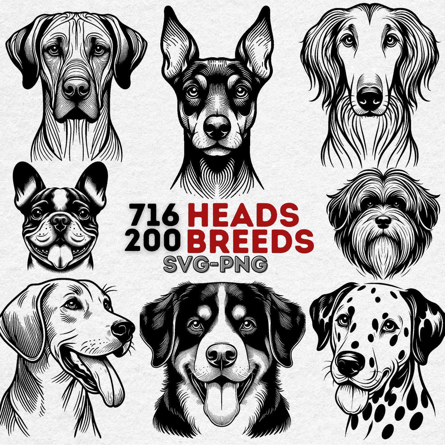 Lot de têtes de chien SVG Svg de races de chiens complètes Têtes de ...