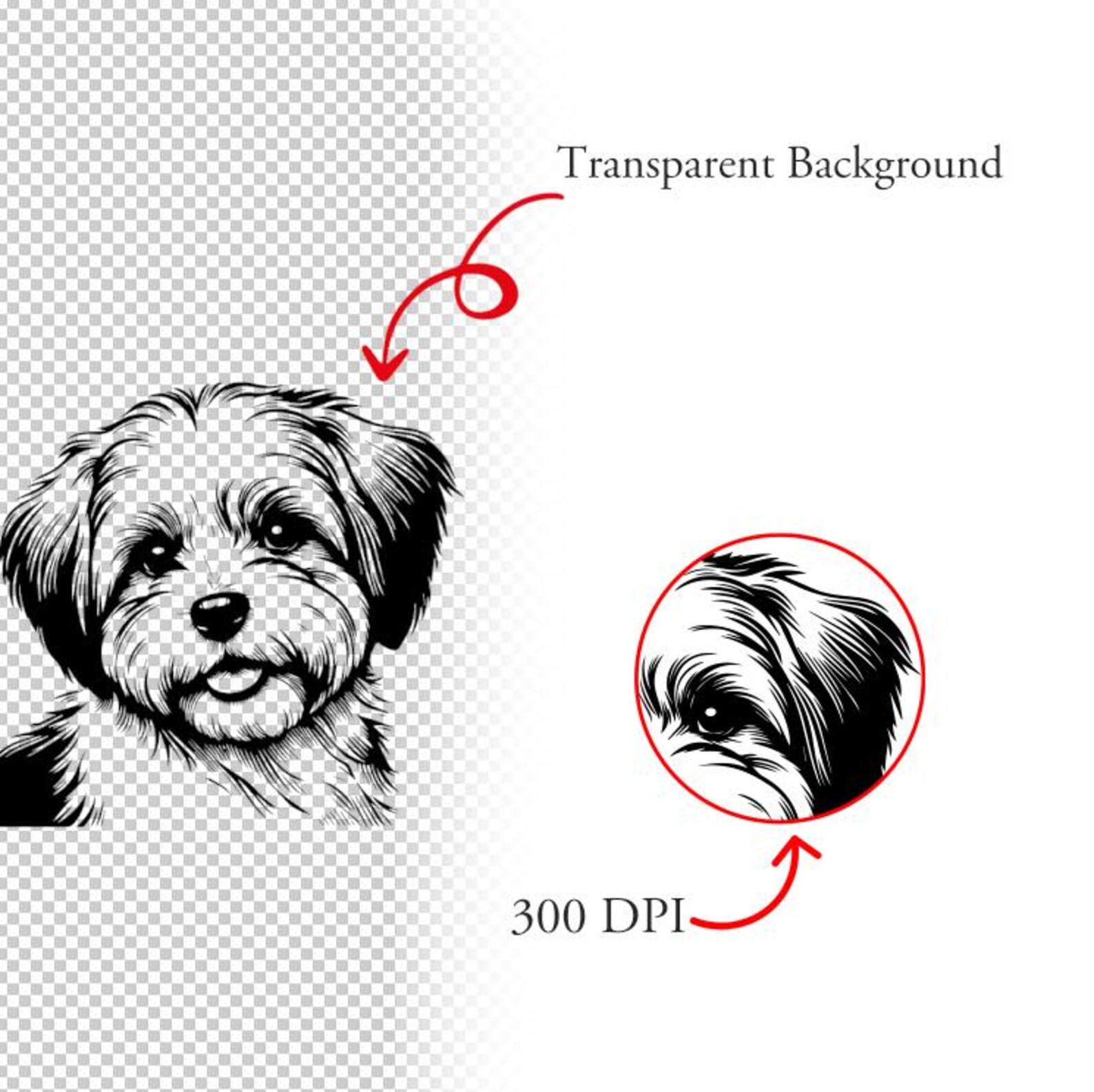 Benji Dog SVG PNG Designs Bundle, Cute Puppy Clipart, Dog Lover Vector ...