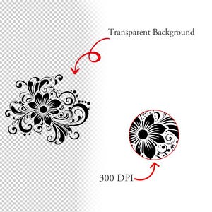 Elegant Filigree Scroll SVG & PNG Designs Bundle for Cricut and ...